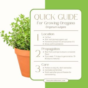 How to Grow Oregano: Simple Steps for Thriving Plants - sassyherbgarden.com