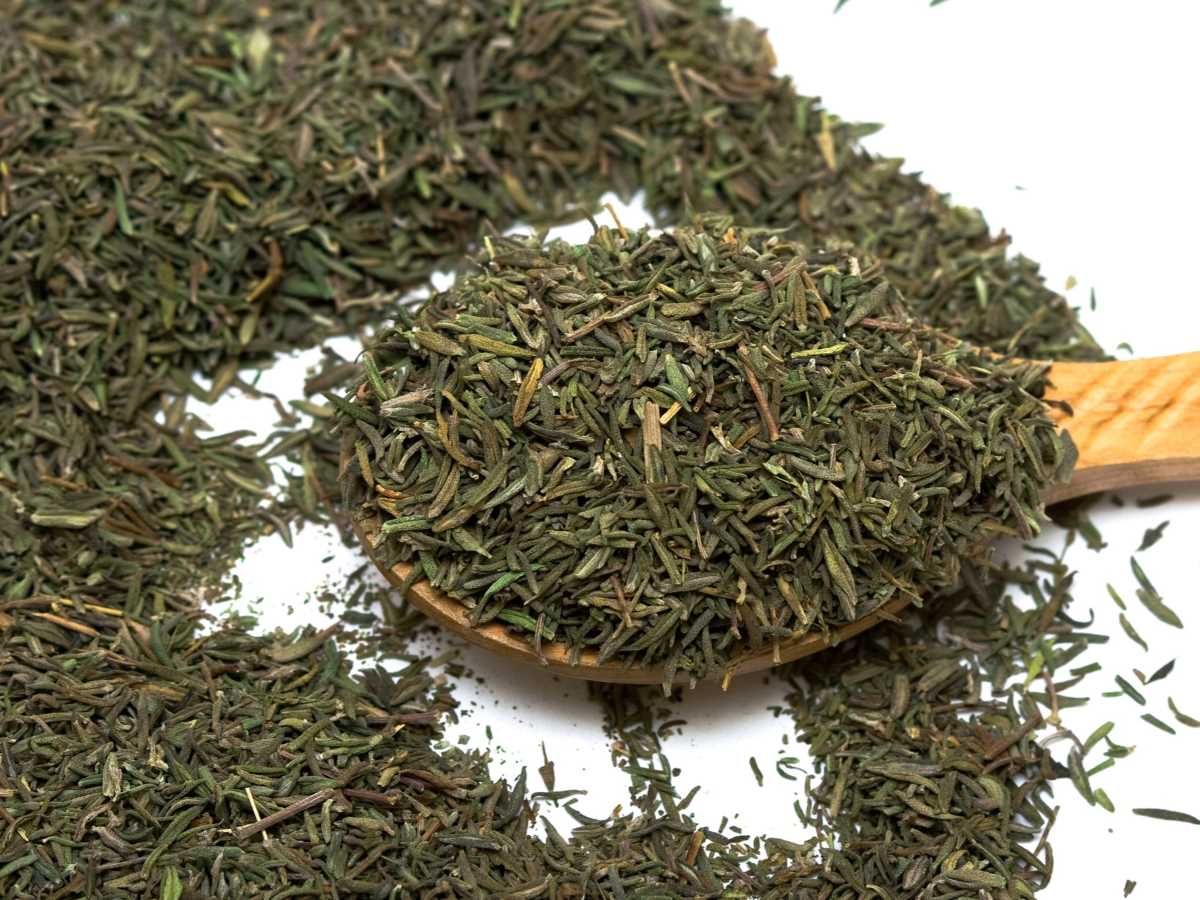 How to Grow Thyme: Easy Steps for a Thriving Herb - sassyherbgarden.com