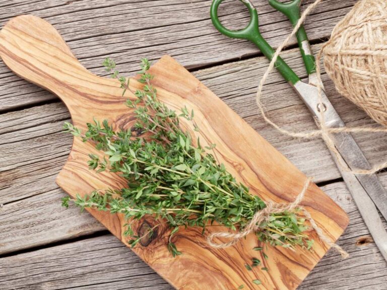 How to Grow Thyme: Easy Steps for a Thriving Herb - sassyherbgarden.com